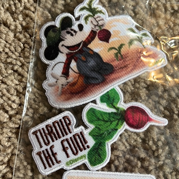 Disney | Design | Disneys Epcot 29 Flower And Garden Festival Patches ...